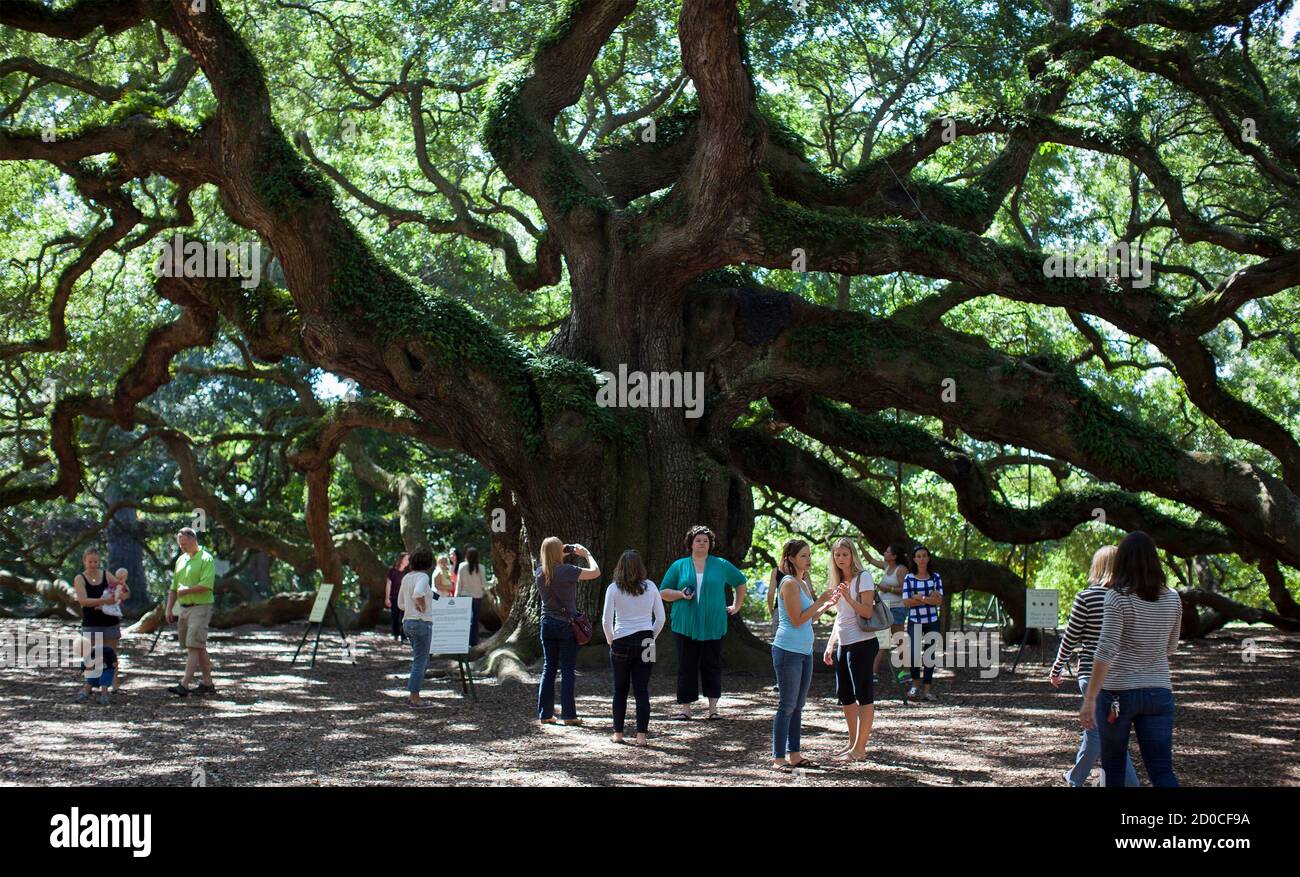Angel canopy hi-res stock photography and images - Alamy