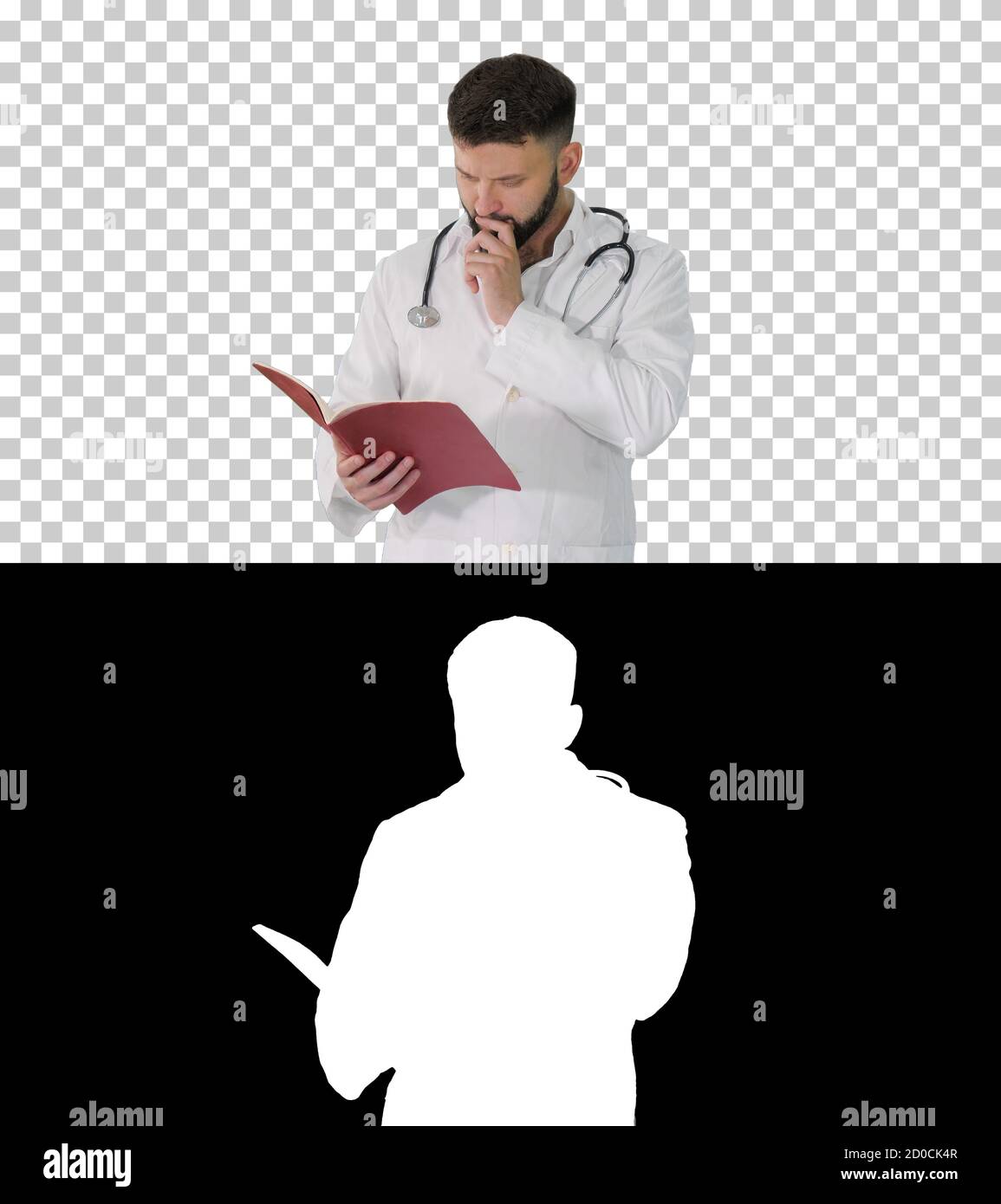 Doctor reading a book or a journal while walking, Alpha Channel Stock ...