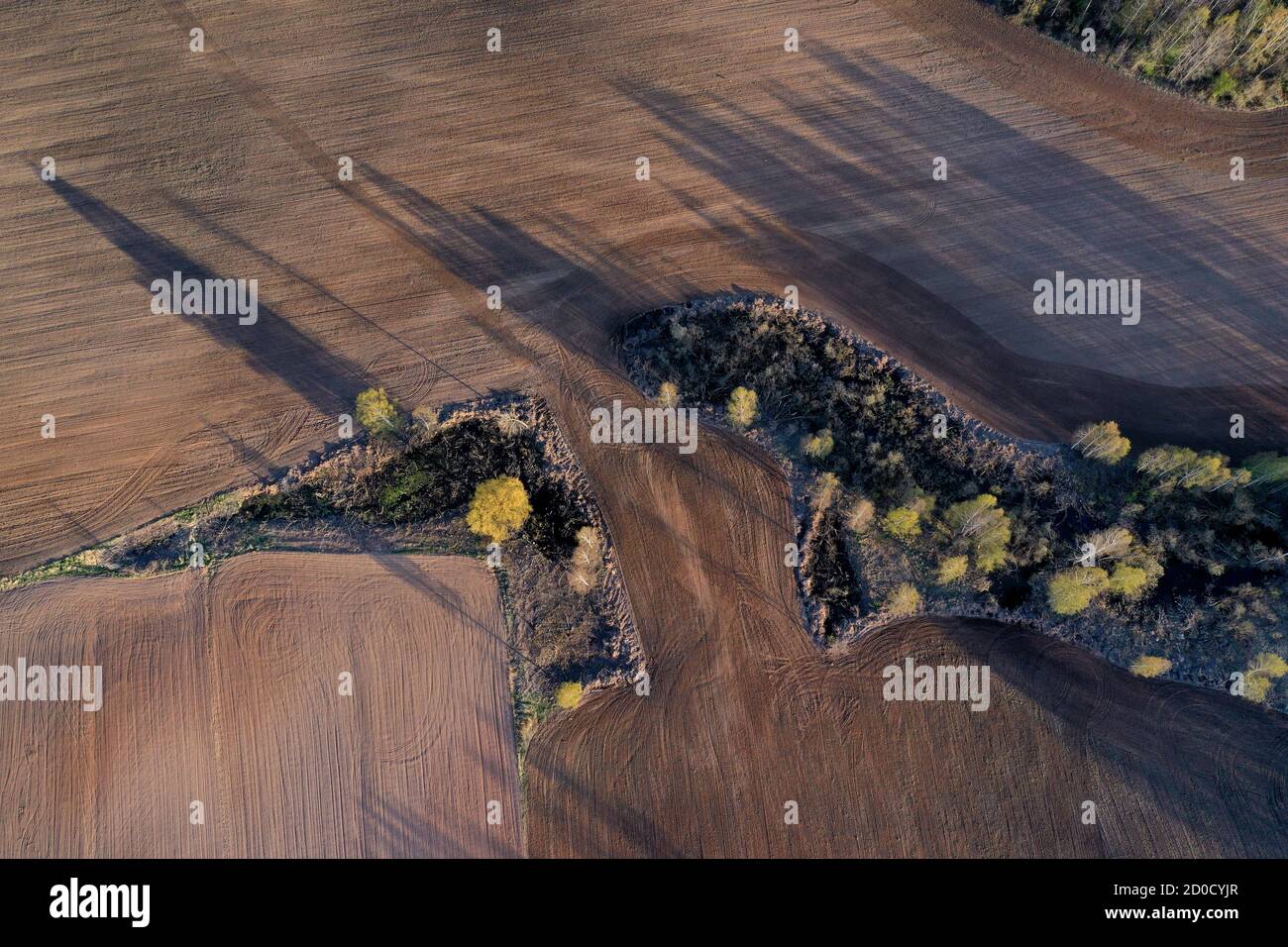 Plowed farm field in early spring and small grove trees in nature park ...