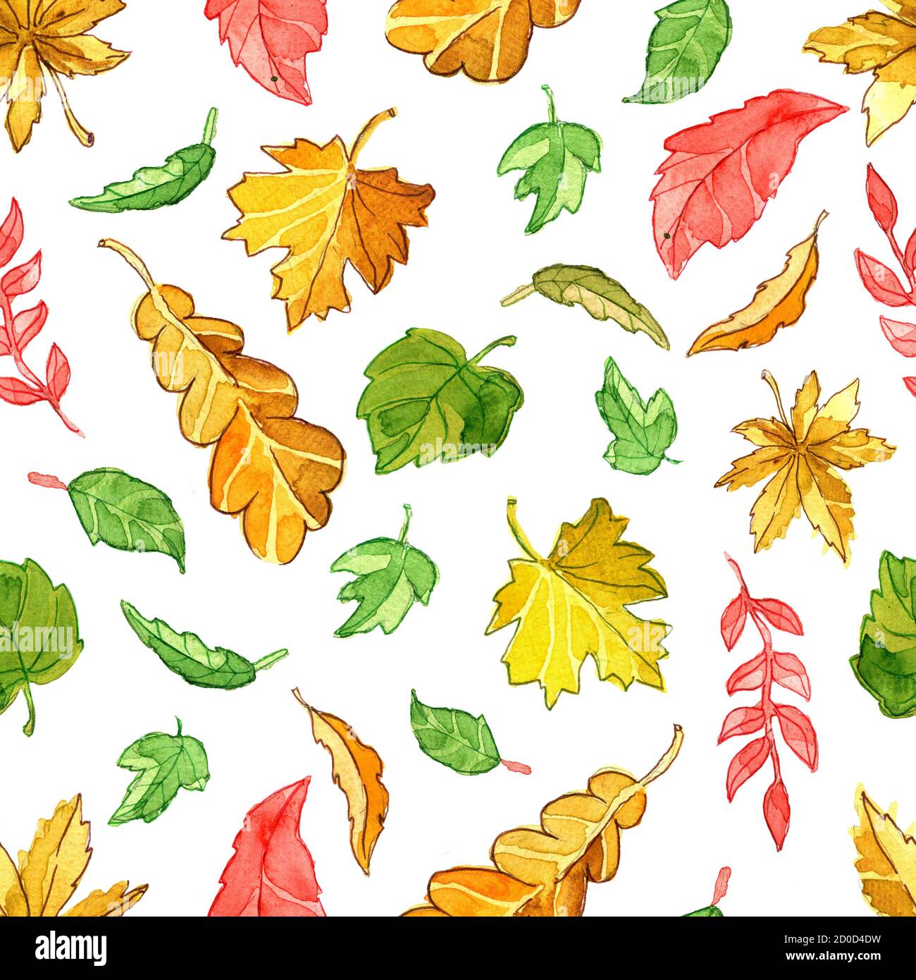Seamless pattern with falling leaves on white. Watercolor doodle set ...