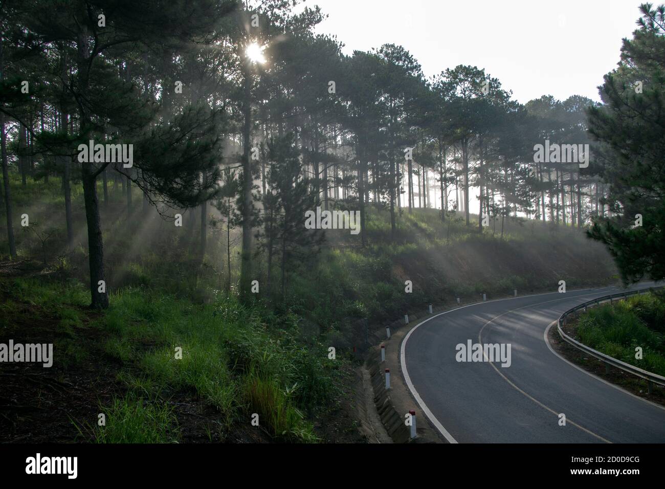 Sunny and morning dew on the roads Stock Photo - Alamy