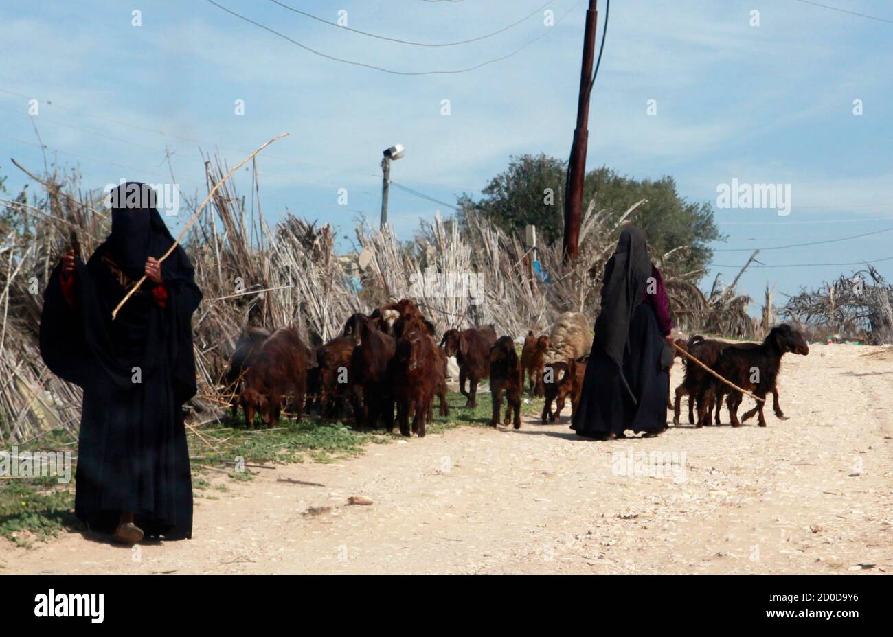 Egypt middle east news hi-res stock photography and images - Alamy