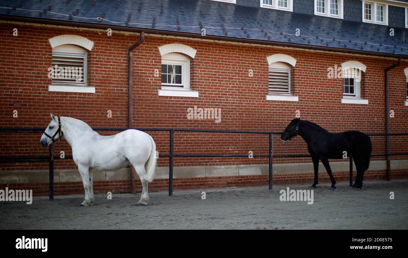 U form shown hi-res stock photography and images - Alamy