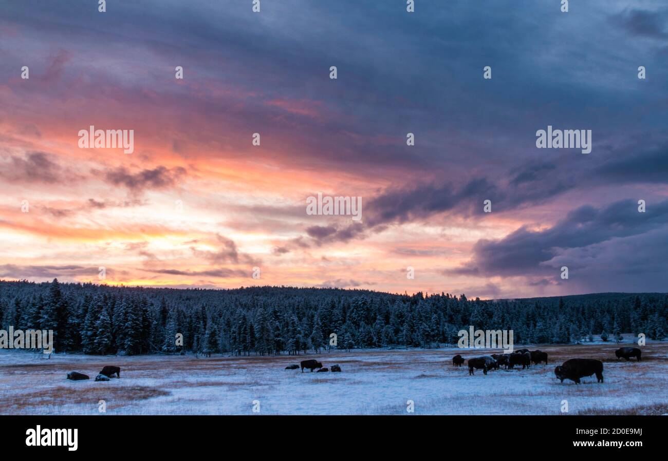 autumn and wintry pictures of the landscapes and wildlife of ...