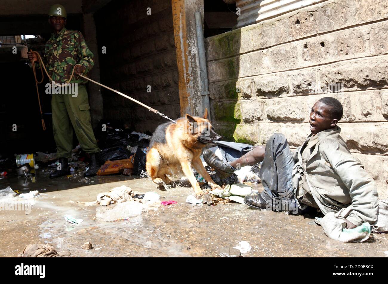 What Is The Crime For Stealing A Dog