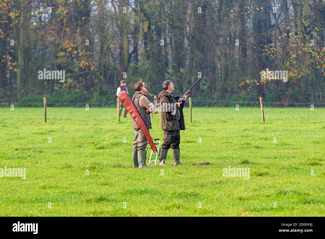 Driven shoot in Lancashire, England Stock Photo - Alamy