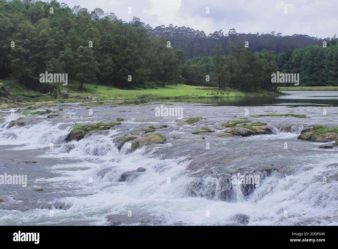 scenic landscape and pykara waterfalls surrounded by coniferous forest ...