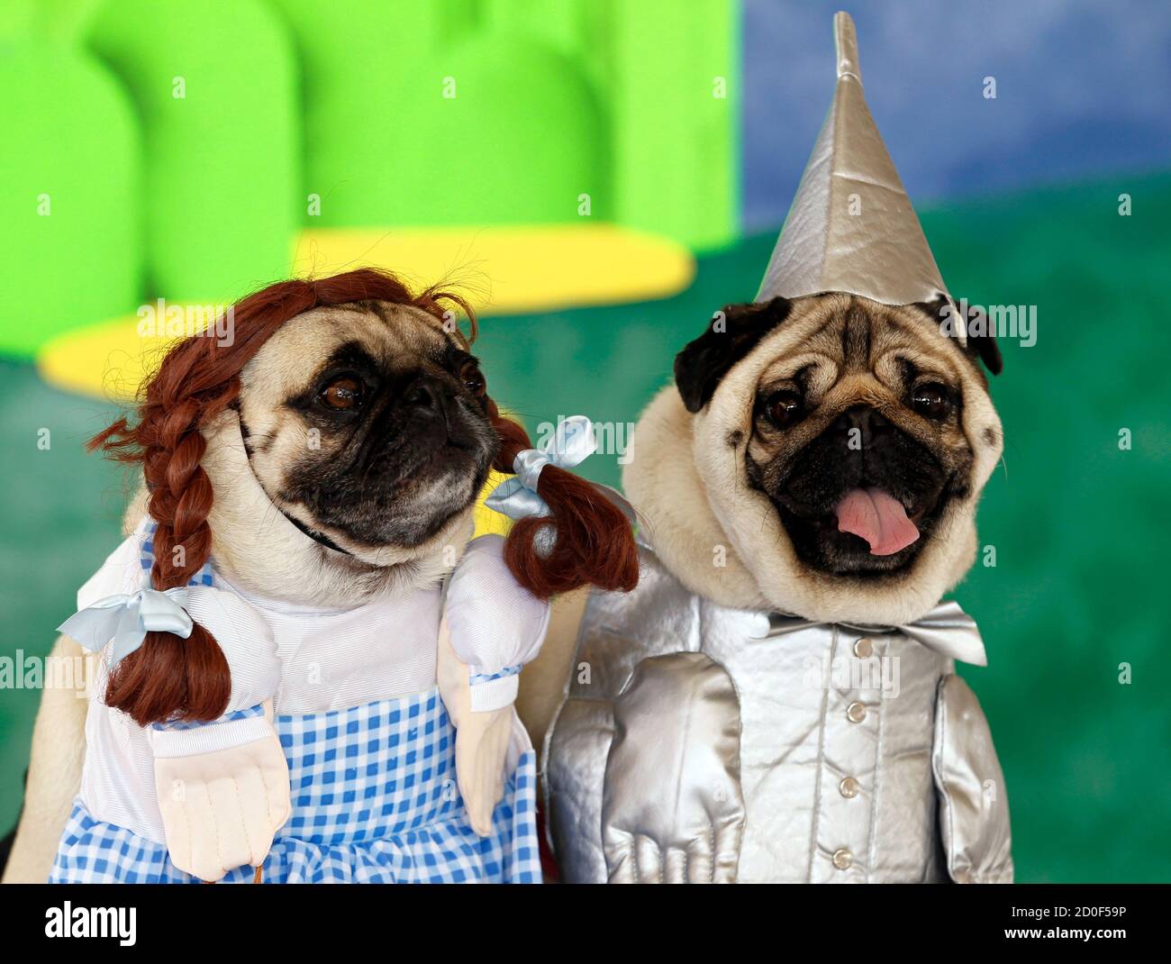 Dorothy from wizard of oz hi-res stock photography and images - Alamy