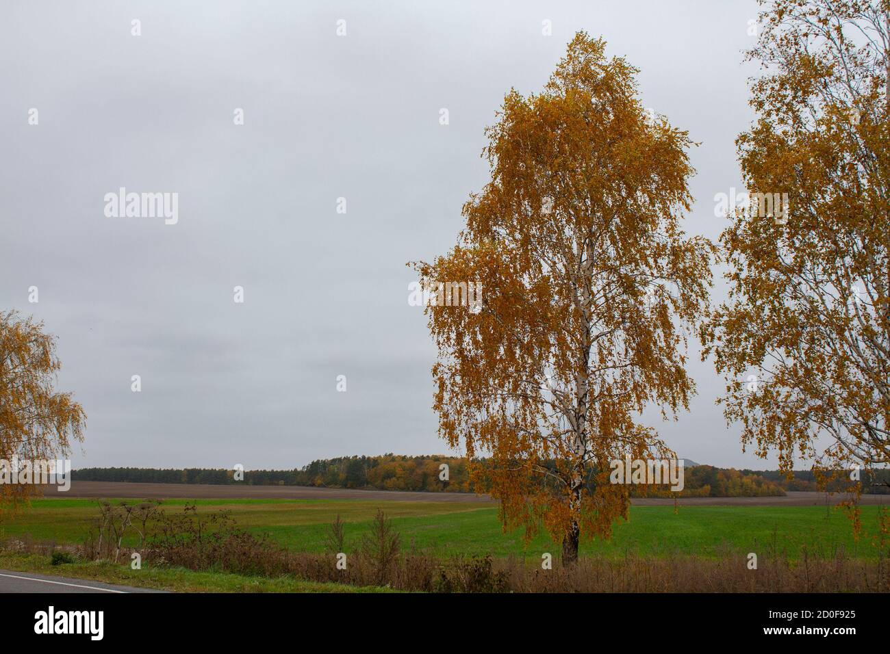 Beautiful autumn landscape landscape trees hi-res stock photography and ...