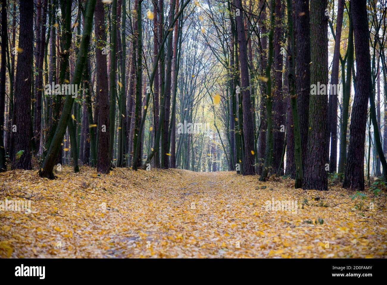 October landscape hi-res stock photography and images - Alamy