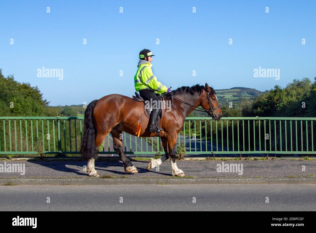 Uk horse rider road motorway hi-res stock photography and images - Alamy