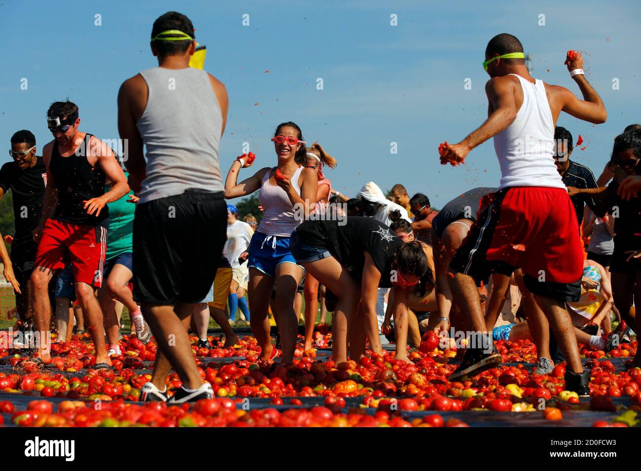 Hundreds and thousands tomatoes hi-res stock photography and images - Alamy
