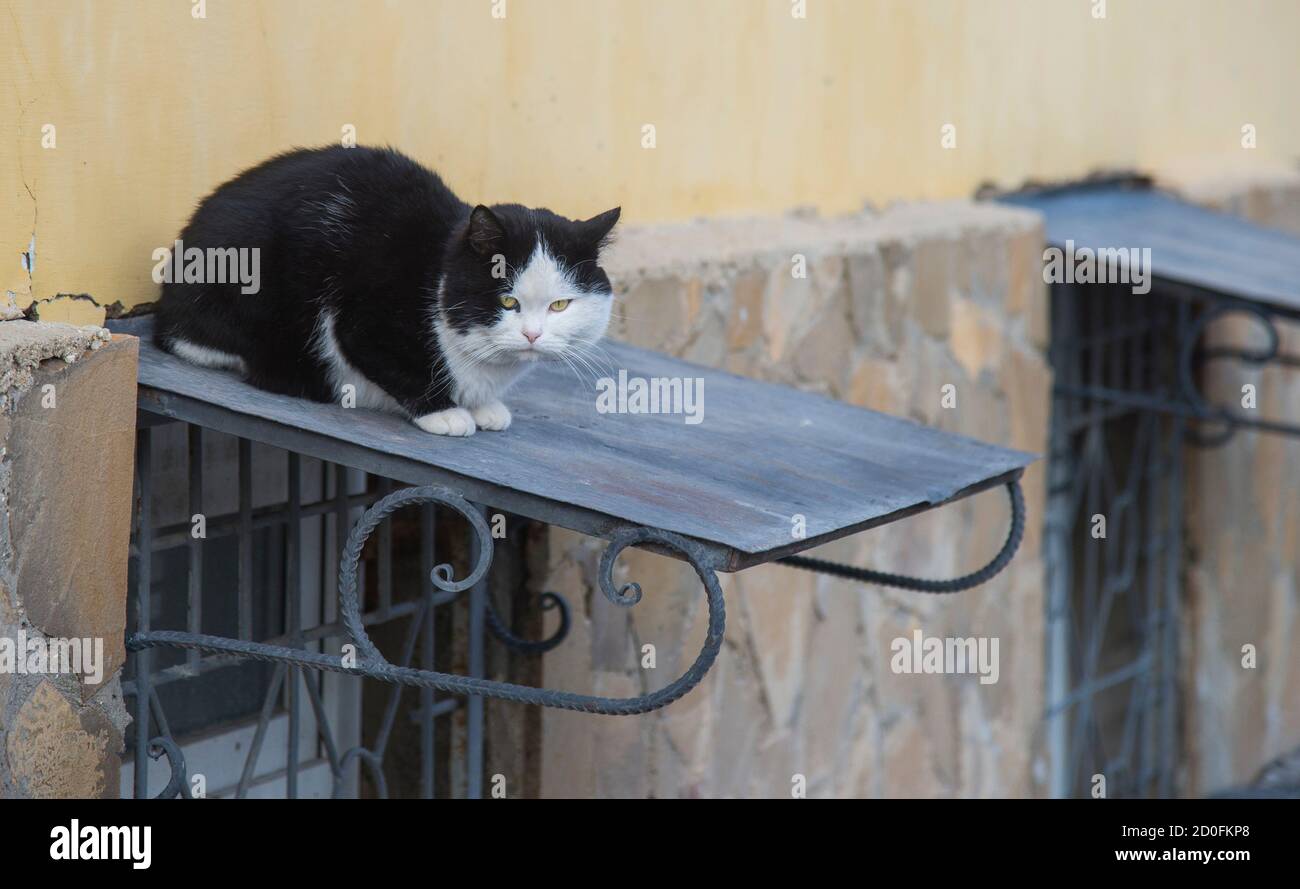 Homeless at the white house hi-res stock photography and images - Alamy