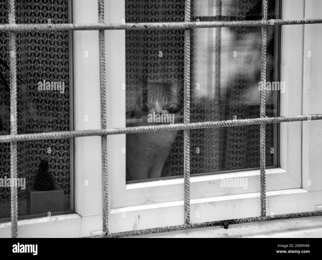 On window sill in Black and White Stock Photos & Images - Alamy