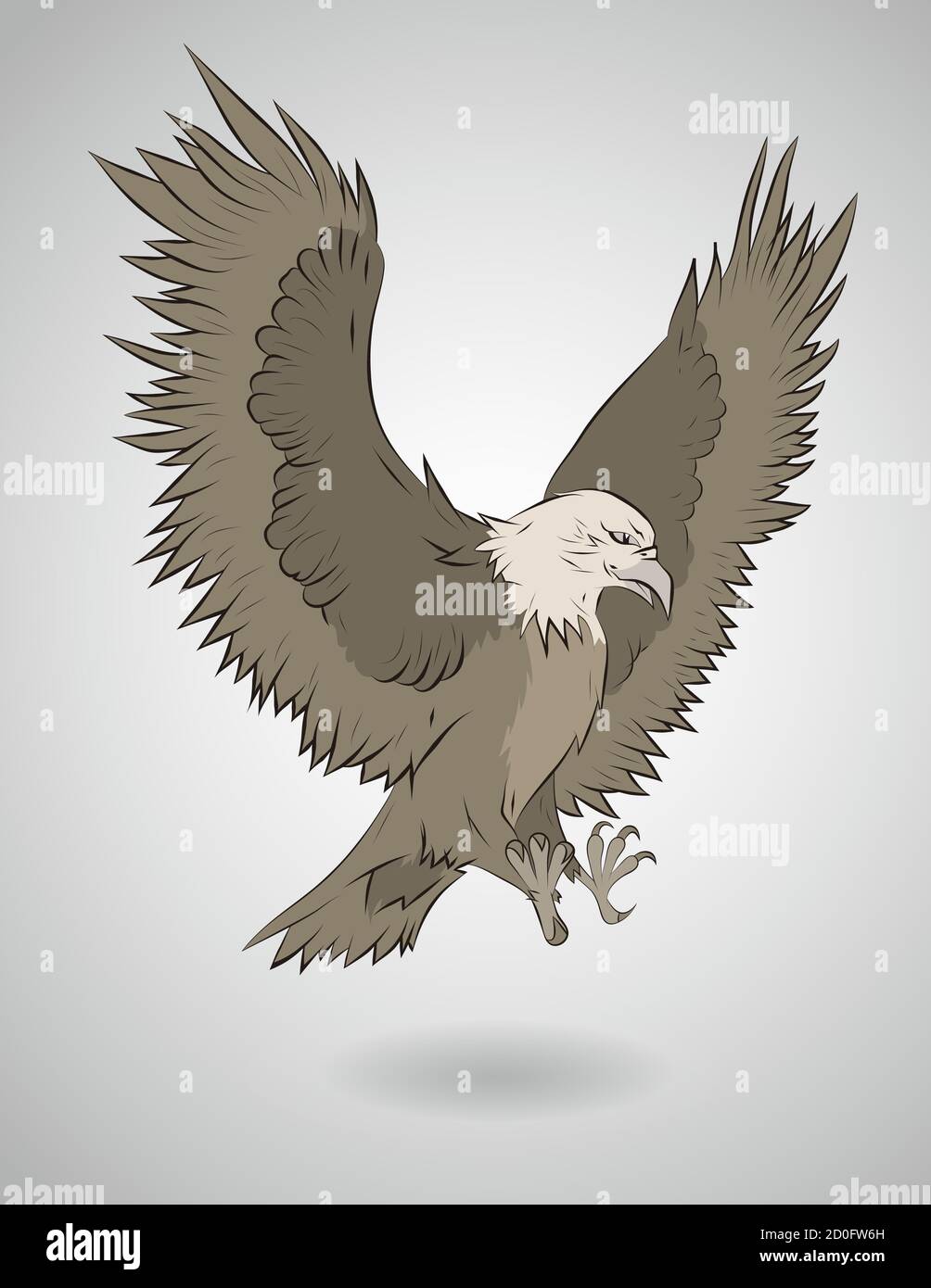 Bald eagle flying Stock Vector Images - Alamy
