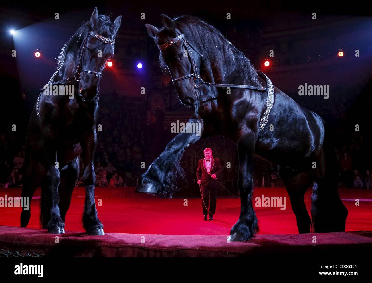 Ukrainian national circus hi-res stock photography and images - Alamy