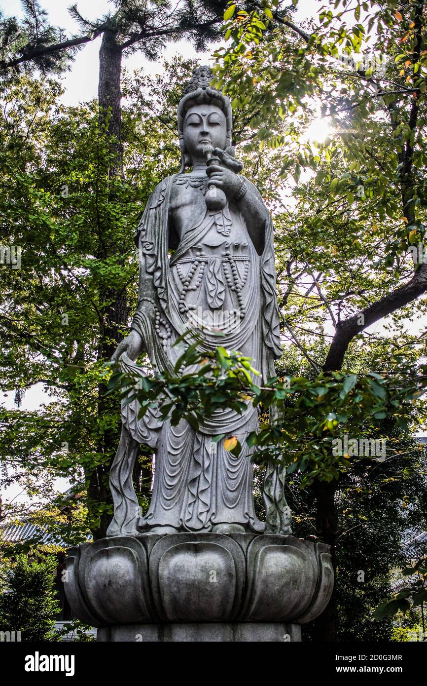 Statue of Kannon at Zojoji Temple in Tokyo, Japan Stock Photo - Alamy