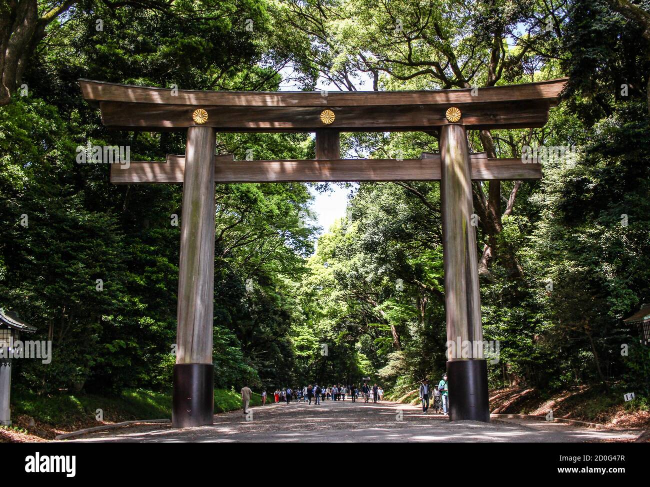 Ancient wooden torii gate at Meiji Jingu Shrine in Tokyo Stock Photo ...