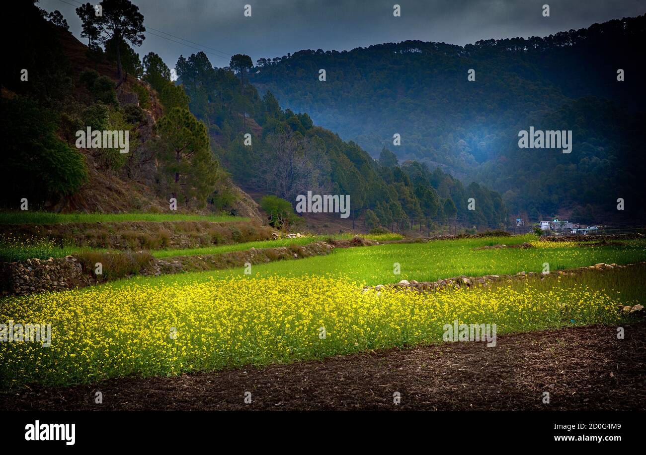 Best for meditation hi-res stock photography and images - Alamy