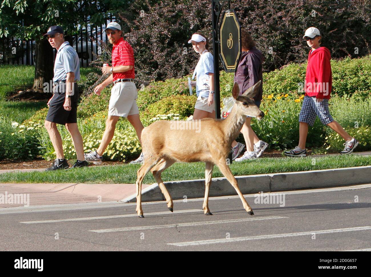 Golf states hi-res stock photography and images - Alamy