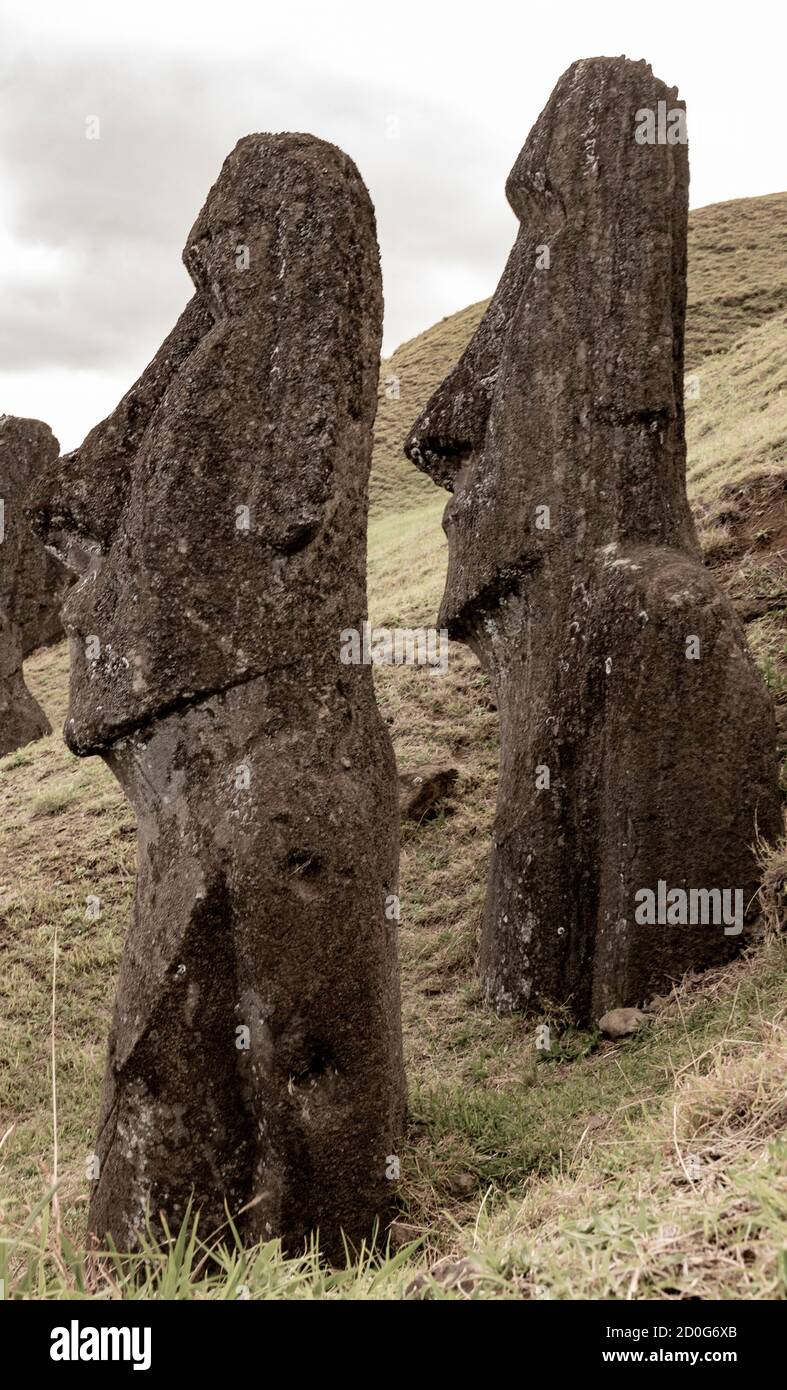 Moai Statues on Easter Island at the Rano Raraku Quarry Stock Photo - Alamy