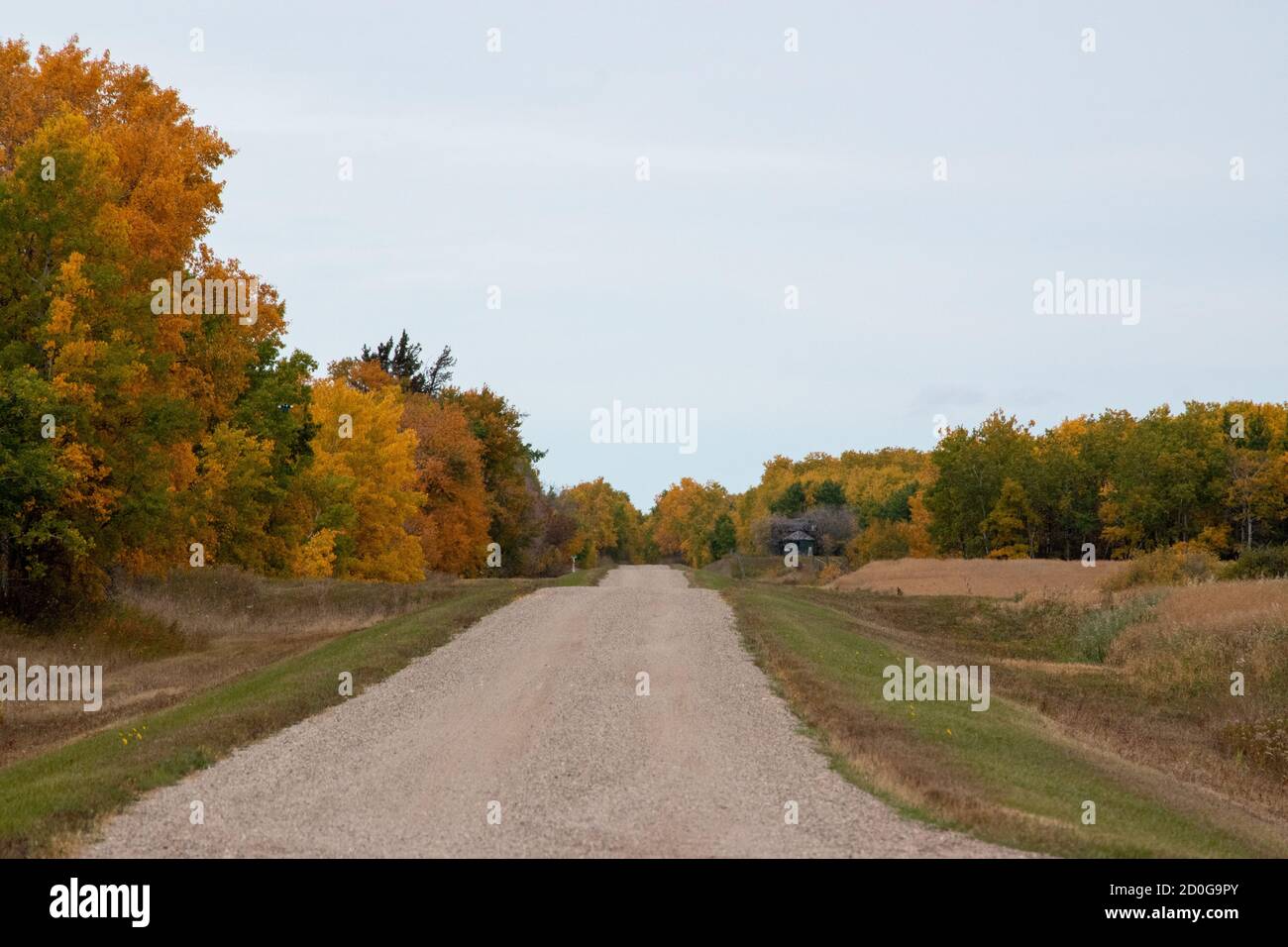 Back country road on the Canadian prairies in fall Stock Photo - Alamy