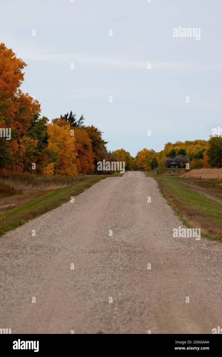 Back country road on the Canadian prairies in fall Stock Photo - Alamy