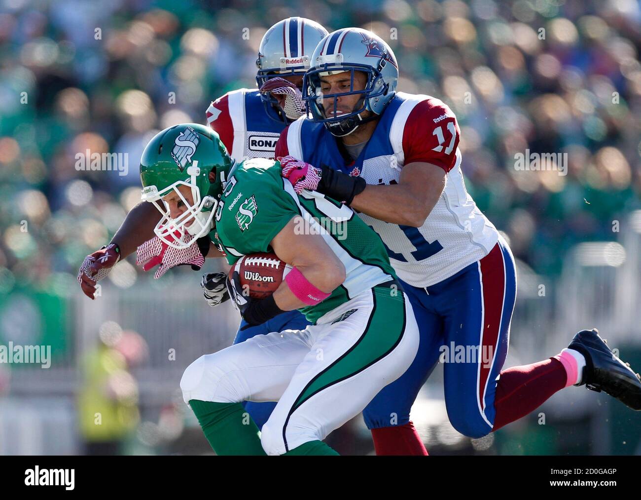 Chip cox hi-res stock photography and images - Alamy