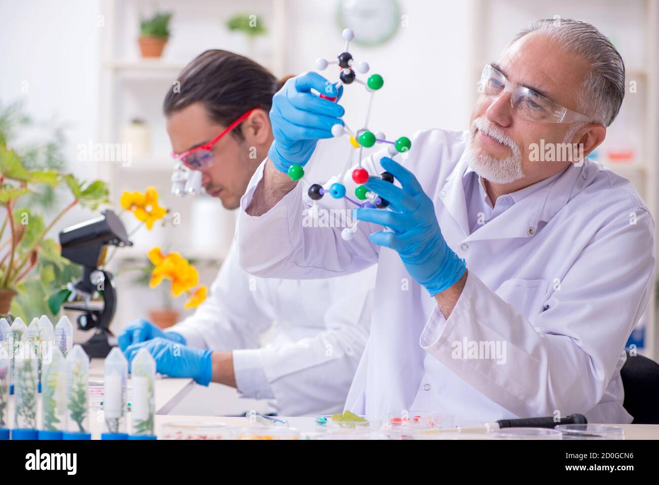 Two chemists working in the laboratory Stock Photo - Alamy