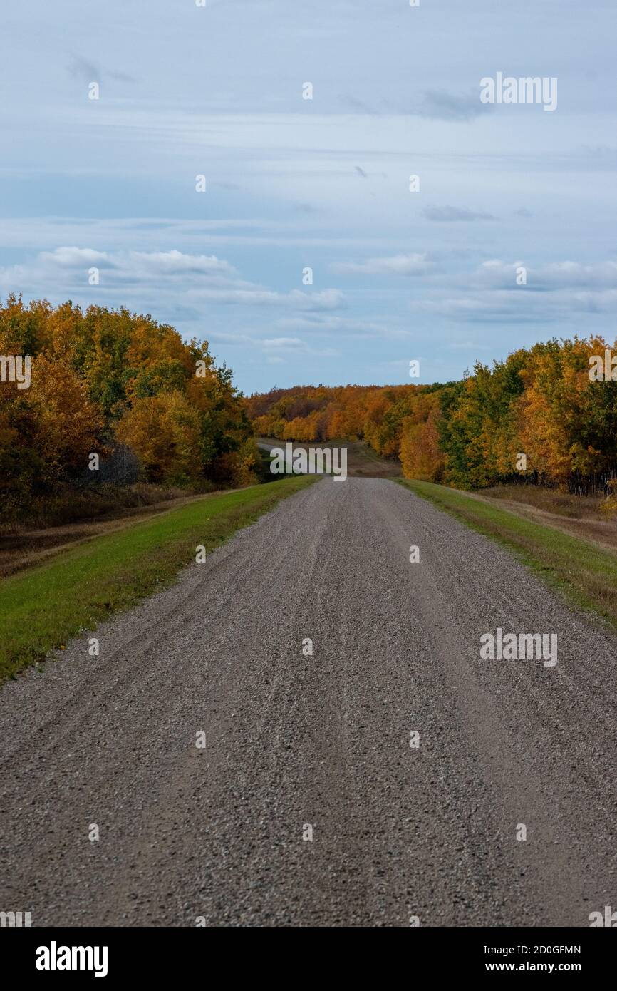 Back country road on the Canadian prairies in fall Stock Photo - Alamy
