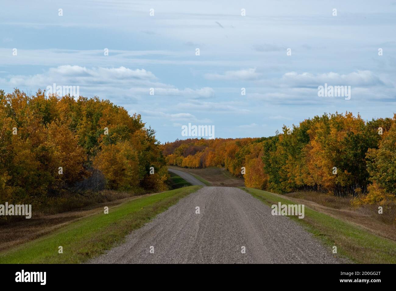 Back country road on the Canadian prairies in fall Stock Photo - Alamy