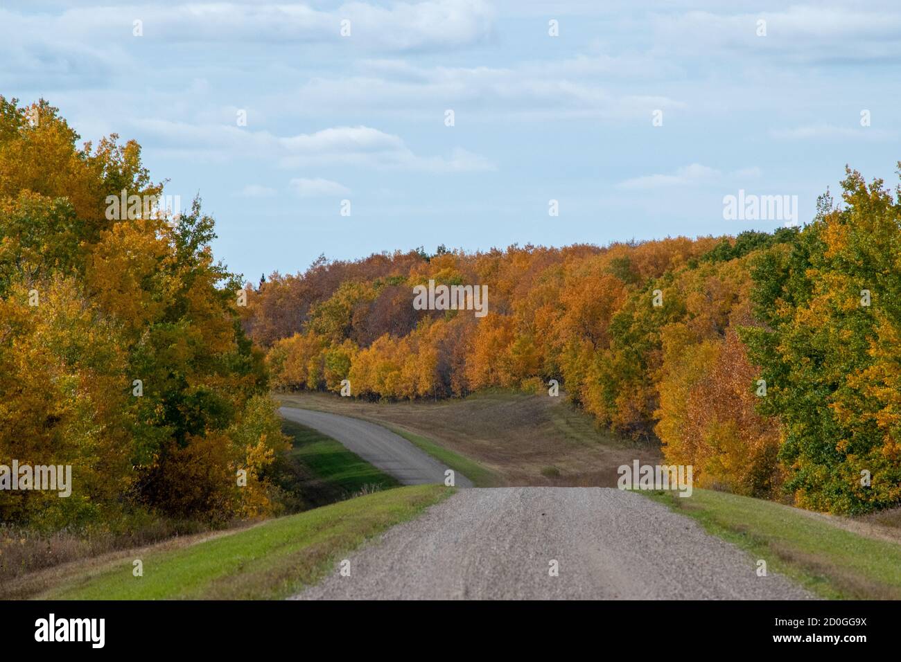 Back country road on the Canadian prairies in fall Stock Photo - Alamy