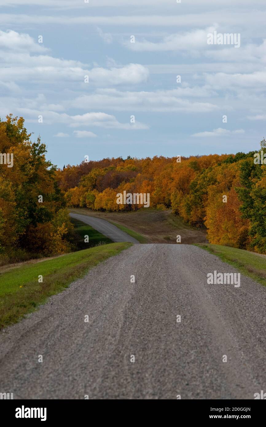 Back country road on the Canadian prairies in fall Stock Photo - Alamy