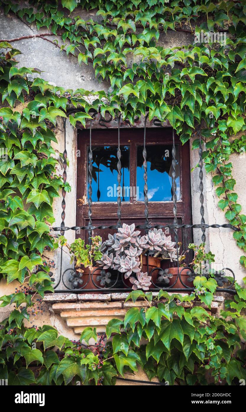 House facade window wild plants hi-res stock photography and images - Alamy