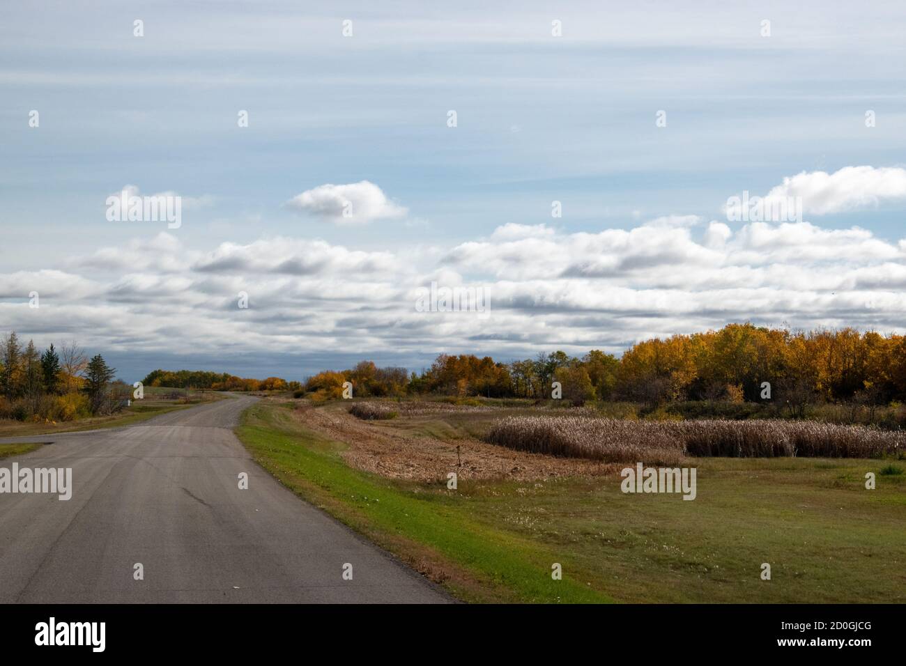 Back country road on the Canadian prairies in fall Stock Photo - Alamy