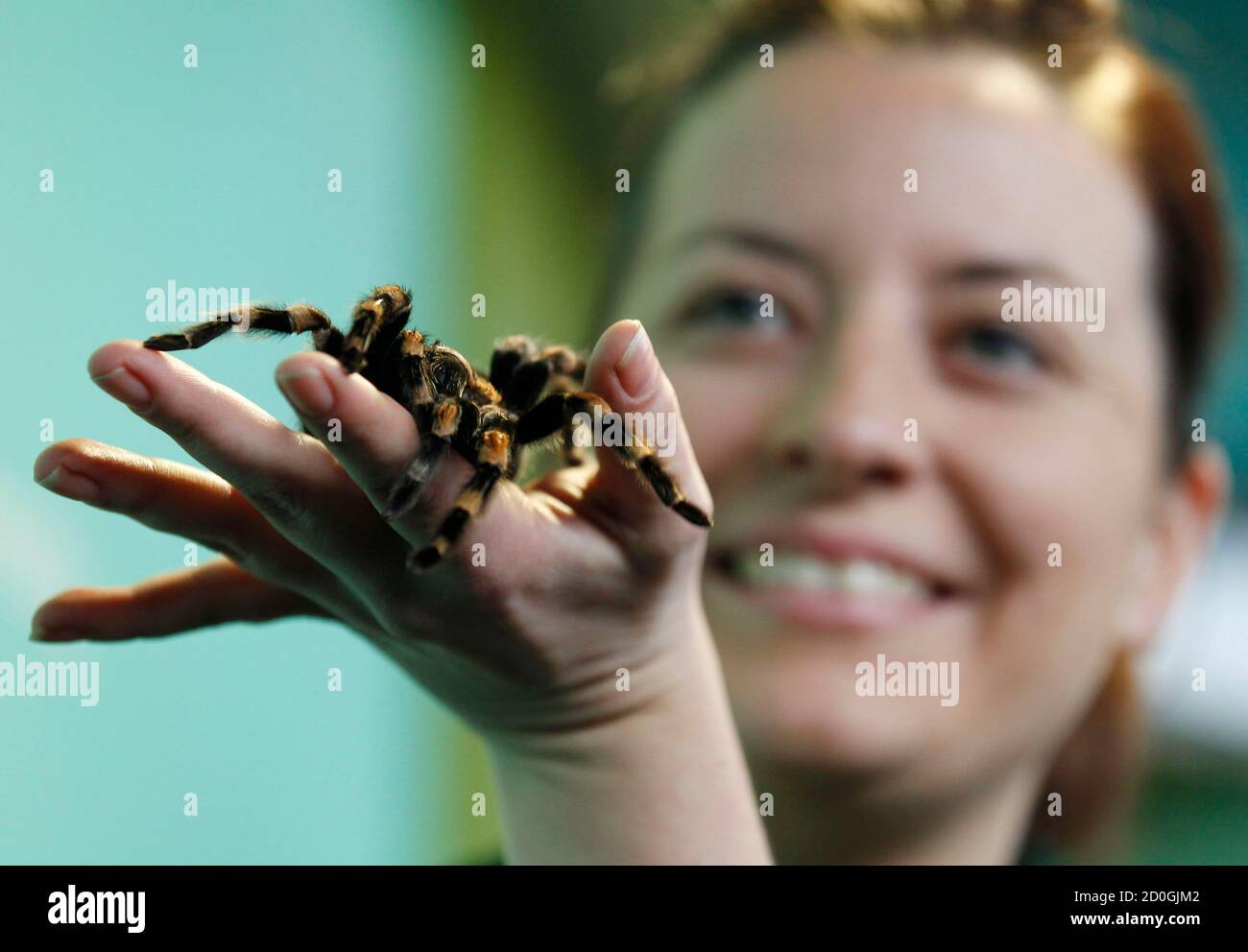 Culture zoos hi-res stock photography and images - Alamy