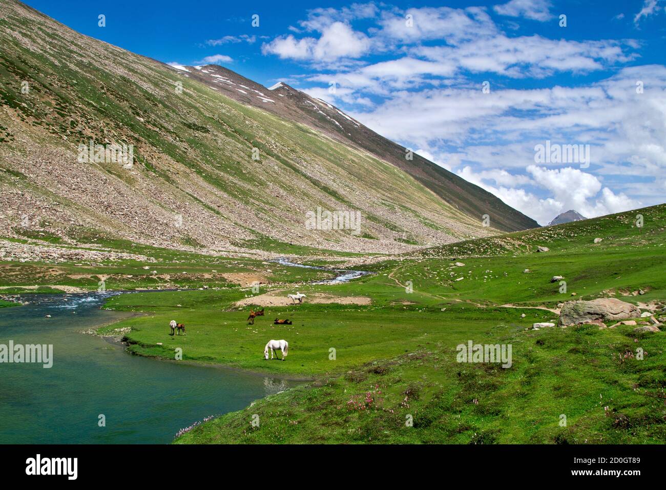 Dudipatsar Lake, also known as Dudipat Lake, is a lake encircled by ...