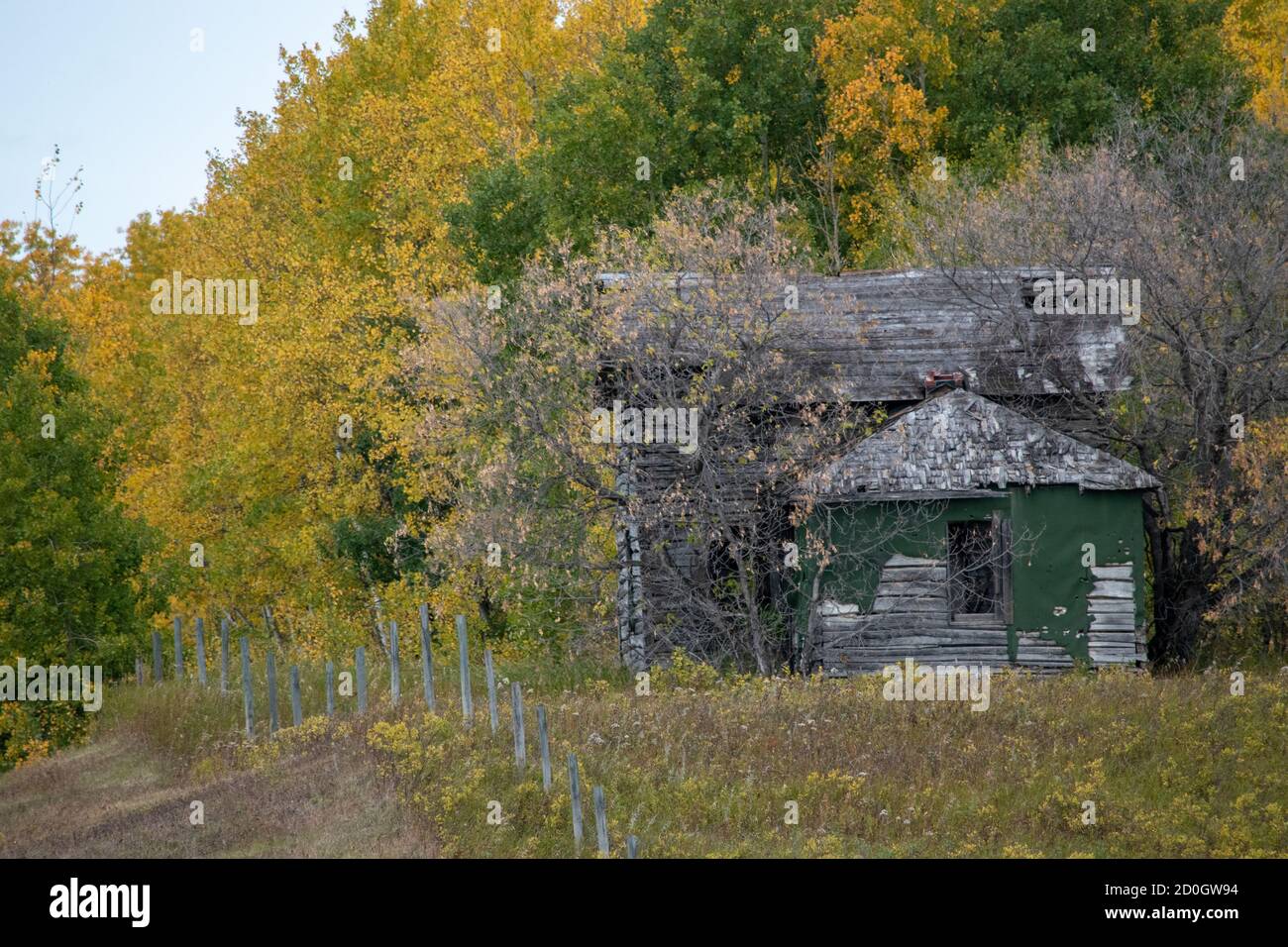 September 28th, 2020, North of Whitewood in South Eastern Saskatchewan ...