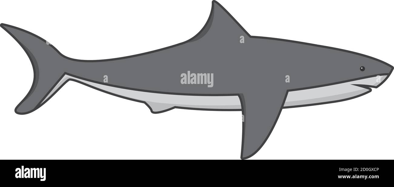 Sea or ocean predator. Underwater big white a shark, fish with fins and ...
