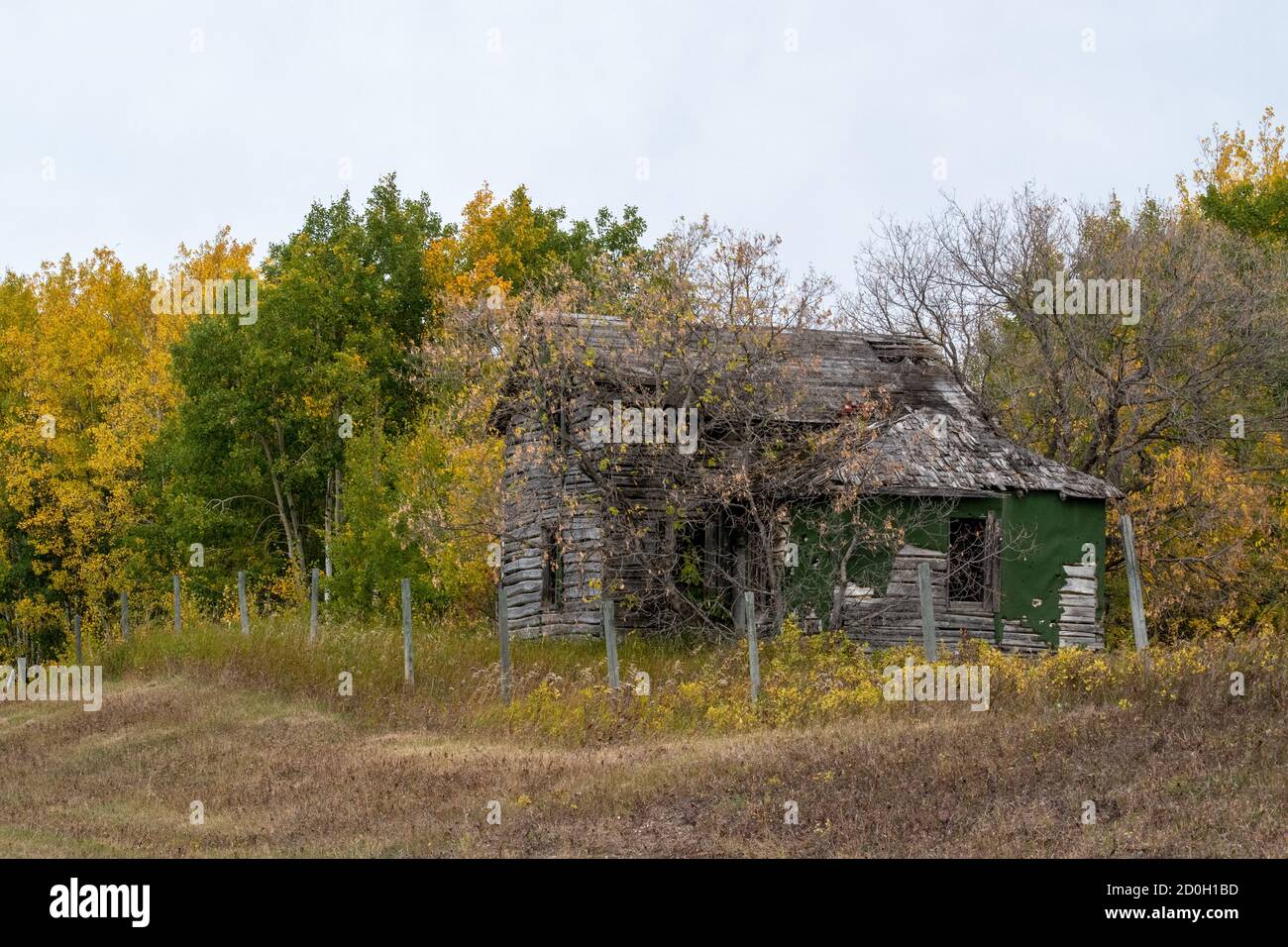 September 28th, 2020, North of Whitewood in South Eastern Saskatchewan ...