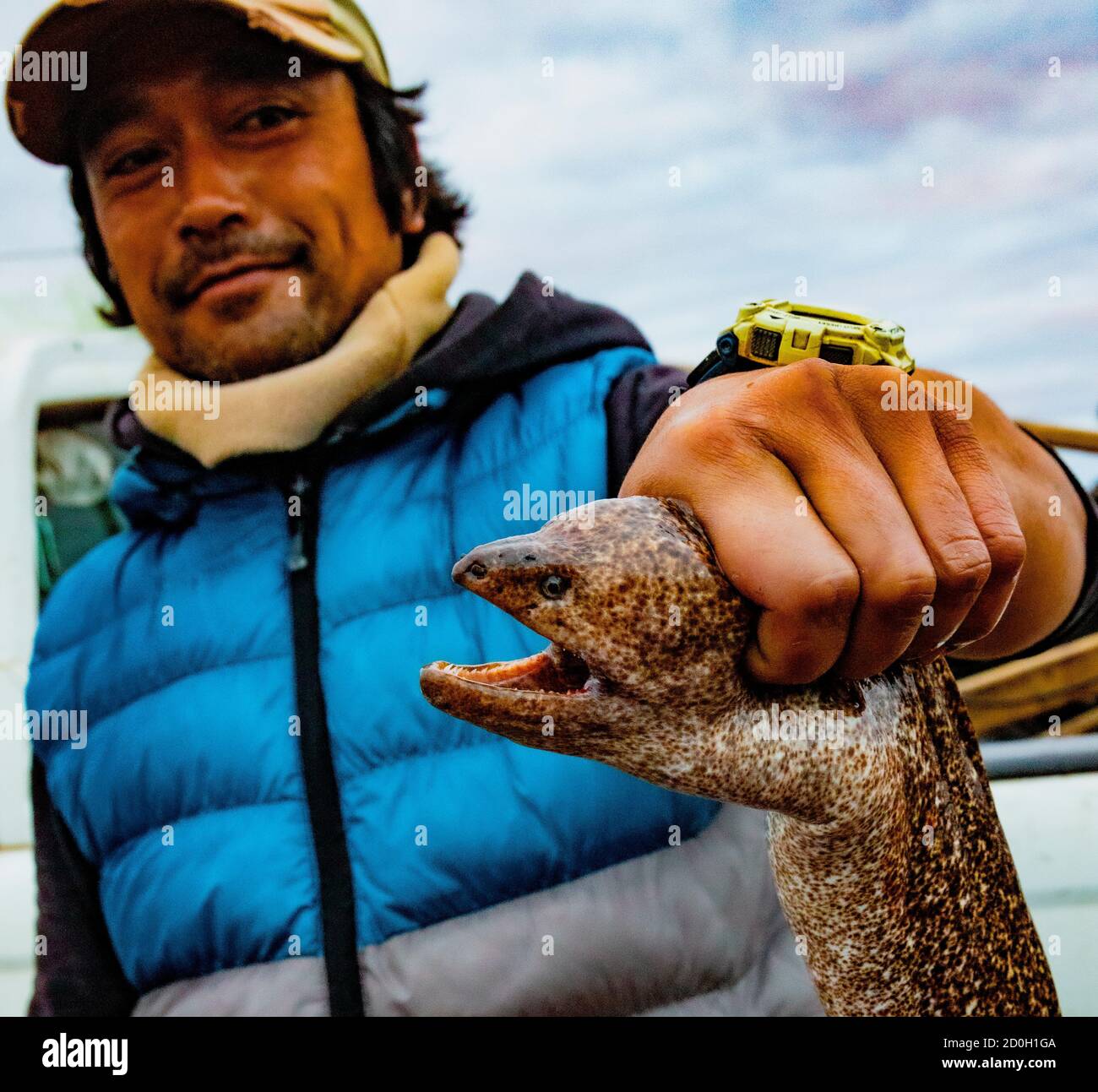 Easter Island, Chile - 2019-07-11 - Fisherman holds moray eel he has ...