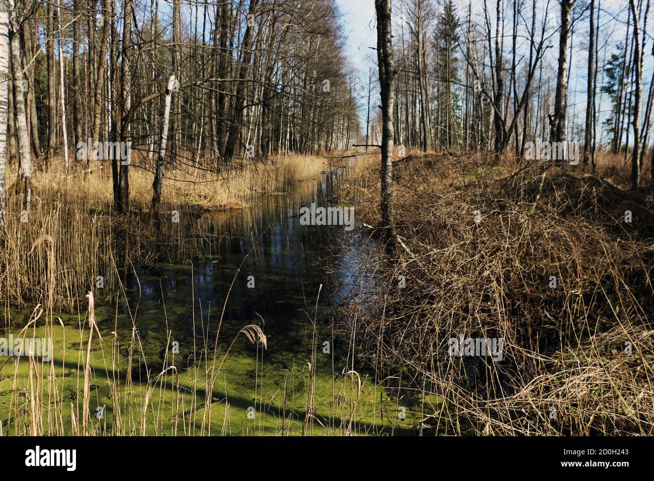 Aerial view wetland hi-res stock photography and images - Alamy