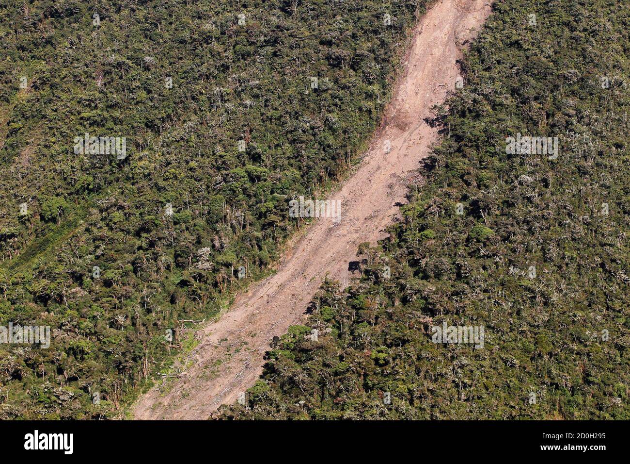 Cuenca Amazonica High Resolution Stock Photography and Images - Alamy