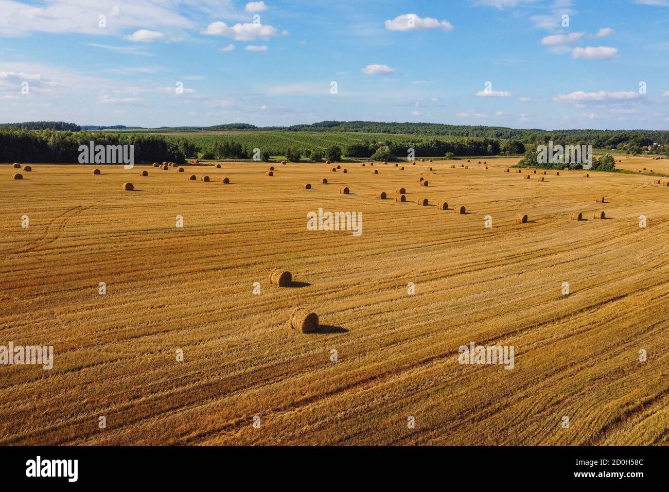 Aerial photo. Top view of the retracted yellow field Stock Photo - Alamy