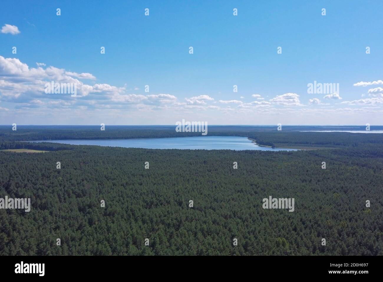Aerial view of green treetops hi-res stock photography and images - Alamy