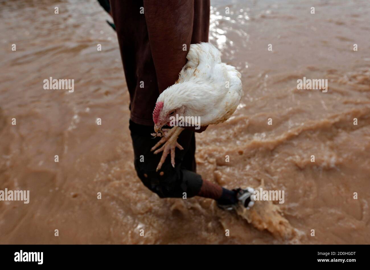 Human in flood hi-res stock photography and images - Alamy