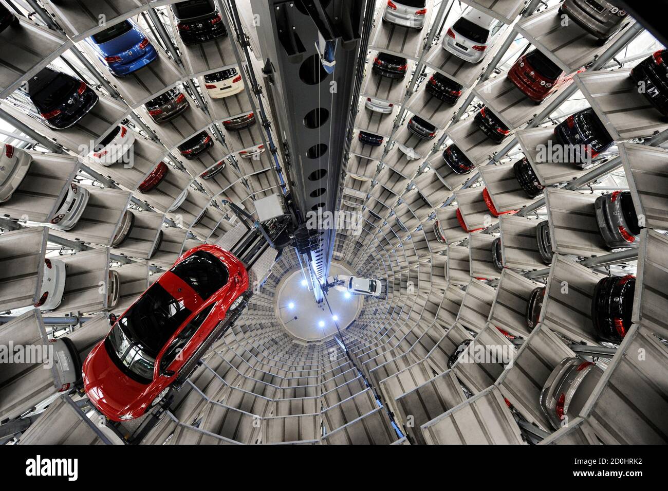 Parts of a beetle hi-res stock photography and images - Alamy