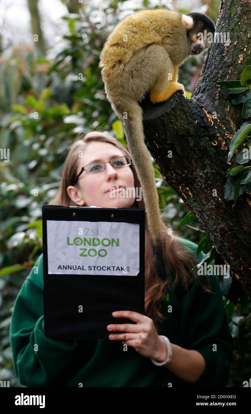 Zoo licence hi-res stock photography and images - Alamy