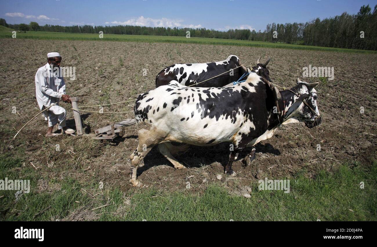Traditional Plough High Resolution Stock Photography and Images - Alamy