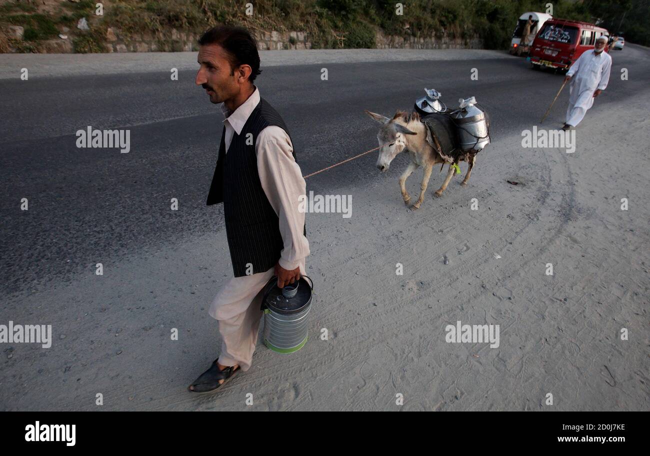 Donkey carrying milk hi-res stock photography and images - Alamy